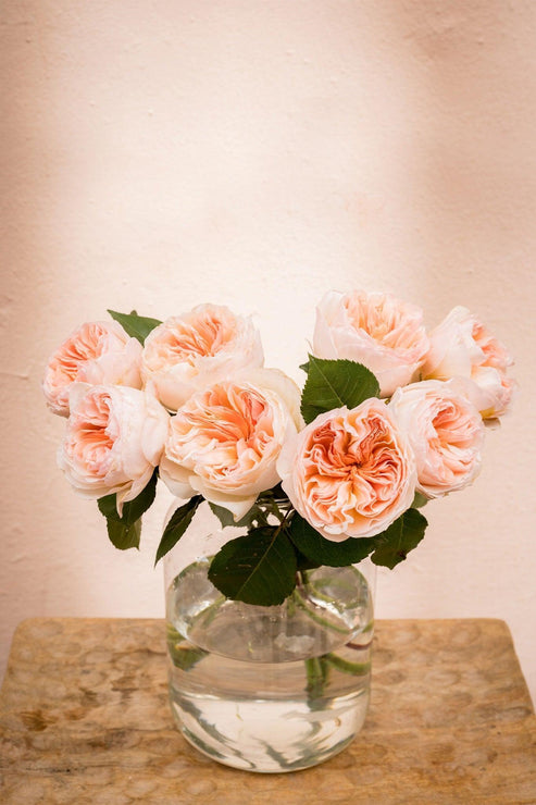 Rosas de Jardín David Austin — Flores Frescas | Lorena Marco